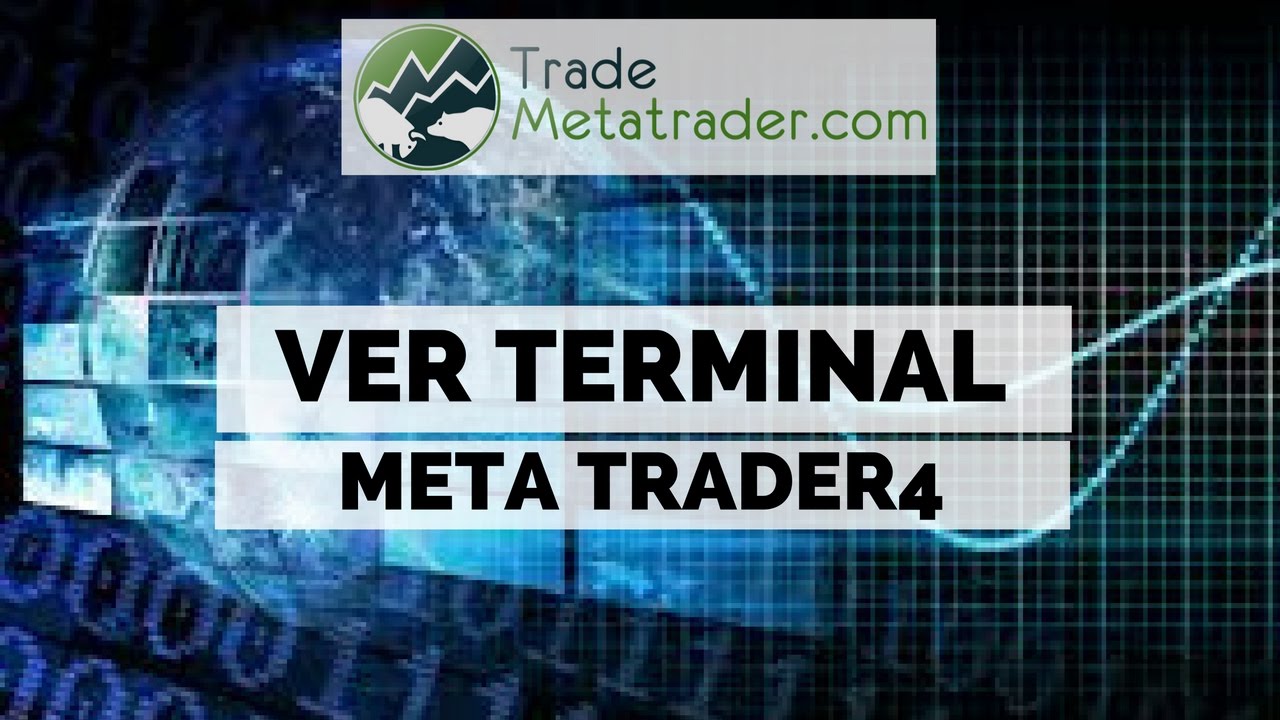 VER TERMINAL EN METATRADER 4 - YouTube
