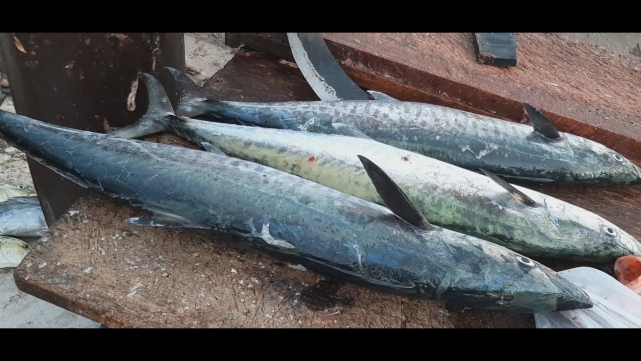 SEER FISH CUTTING - YouTube