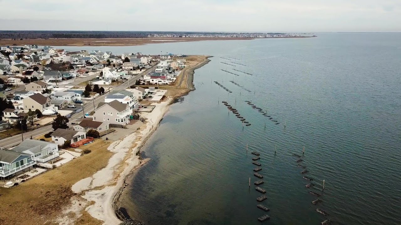 Community-Based Restoration Project Aims to Protect Forked River Beach ...
