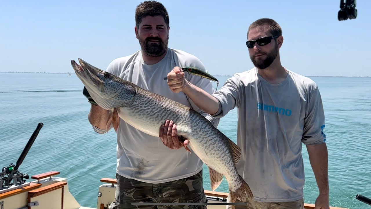 3 Tiger Muskies Caught in One Day! - YouTube
