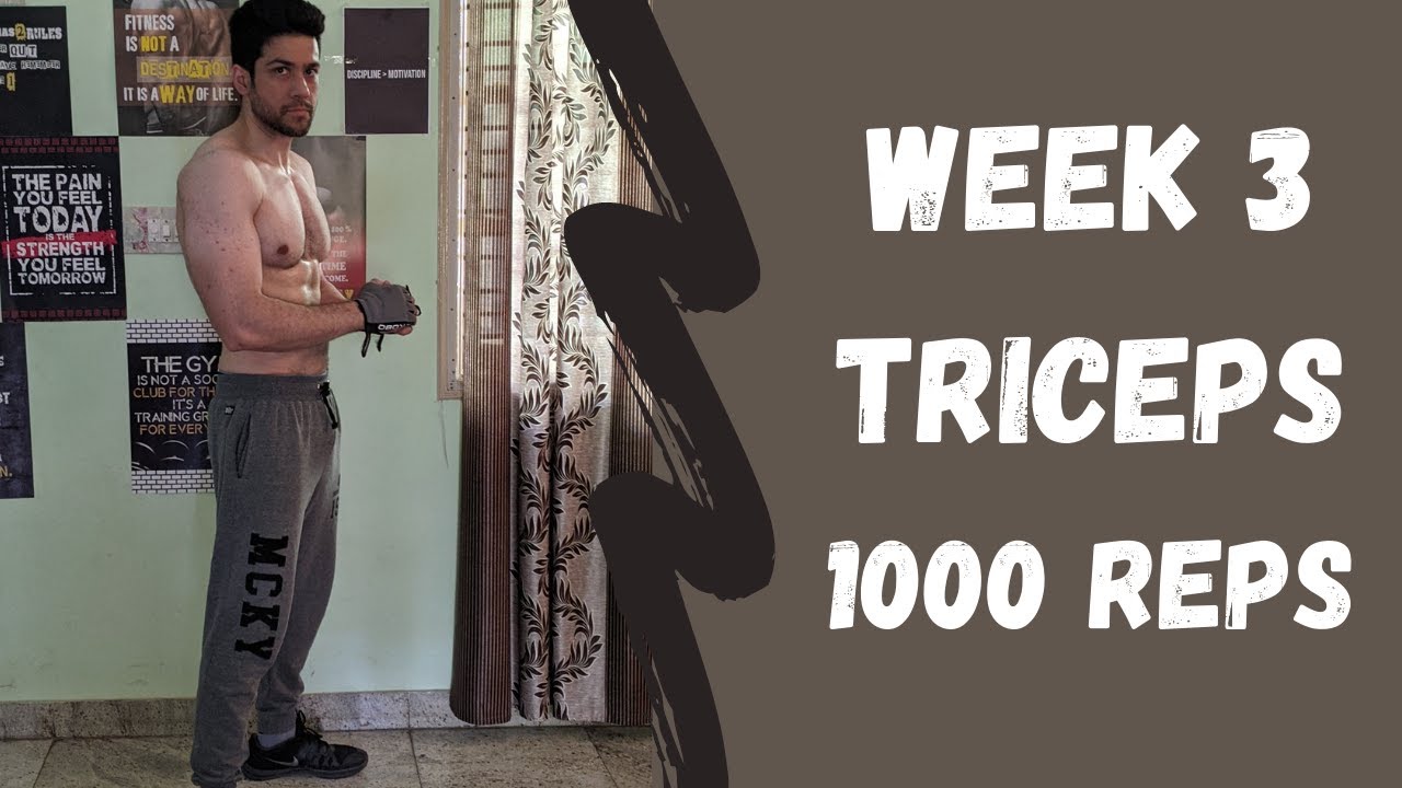 Week 3 of 12 Weeks ARMAGEDDON 💪 Program ⚒️| Triceps - YouTube