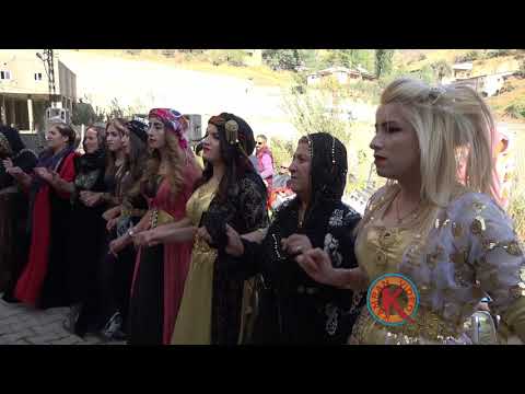 Yüksekova Düğünleri l Rojin & Fırat Wedding l İsa Şemzini Seri Sepe