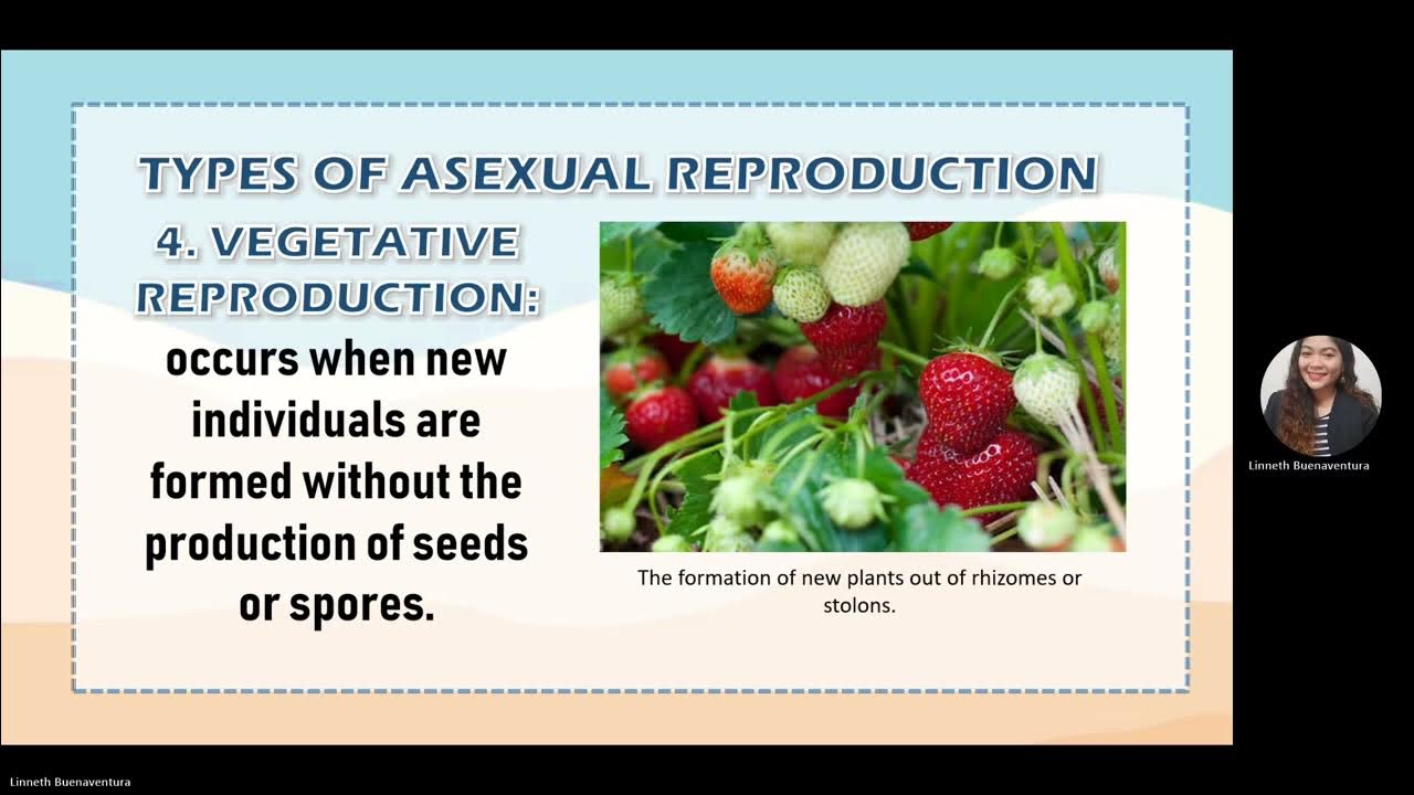 GENERAL BIOLOGY 2 (WEEK 2) -REPRODUCTIVE STRATEGIES OF PLANTS AND ...