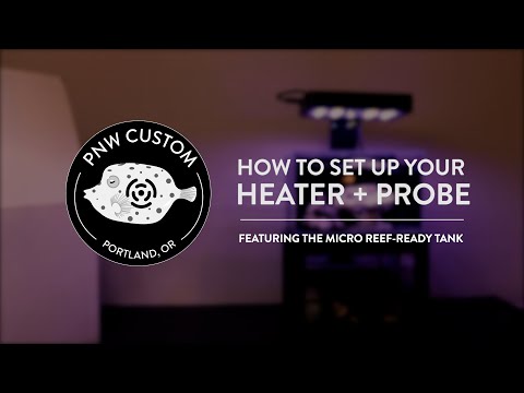 How To Set Up Your Heater + Temperature Probe | Micro Reef-Ready Tank ...