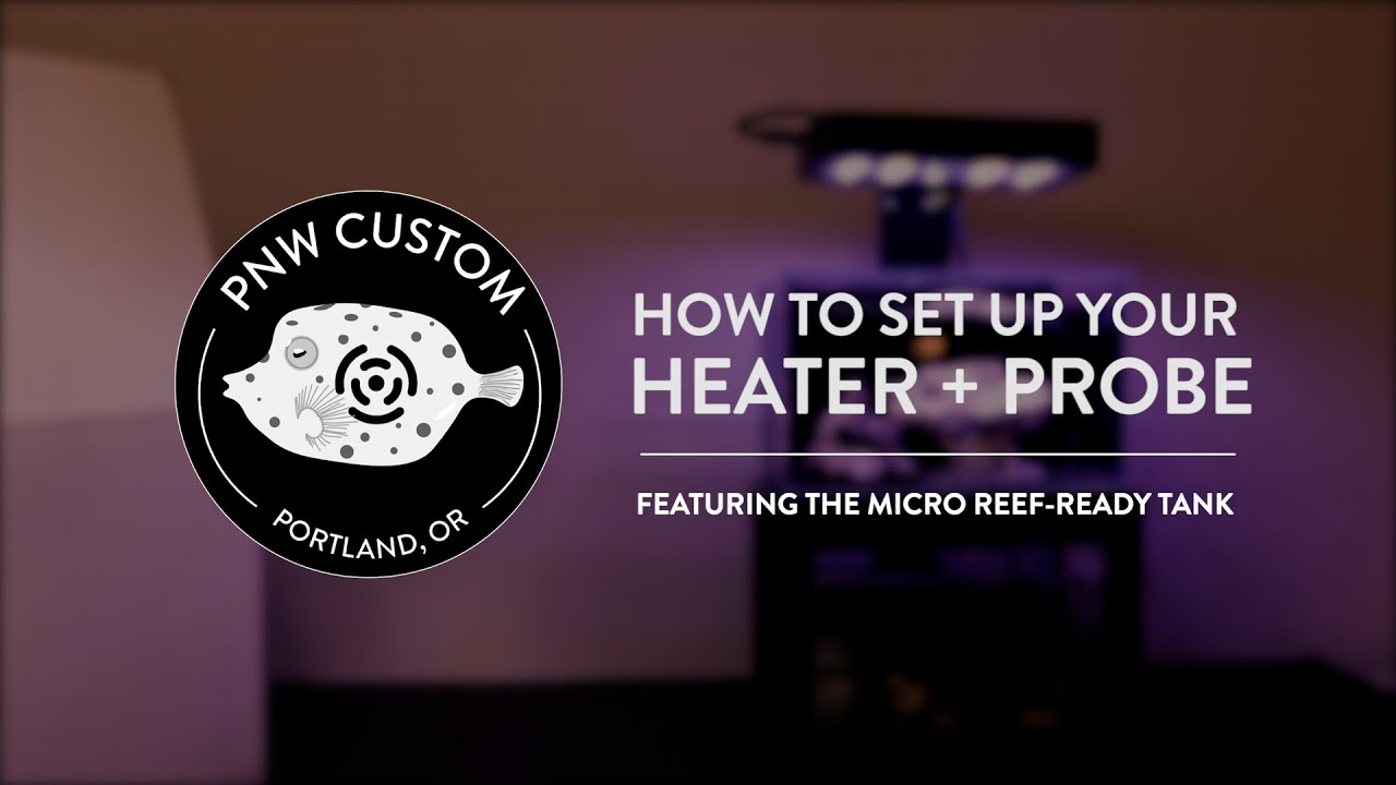 How To Set Up Your Heater + Temperature Probe | Micro Reef-Ready Tank ...