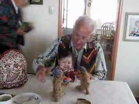 Mechanical Monkeys - YouTube