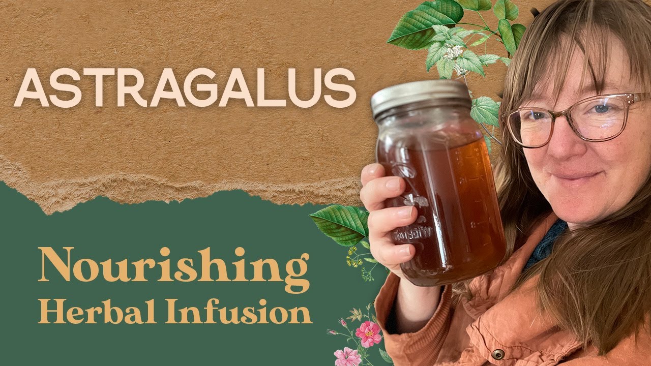 Astragalus root benefits | Nourishing Herbal Infusions - YouTube