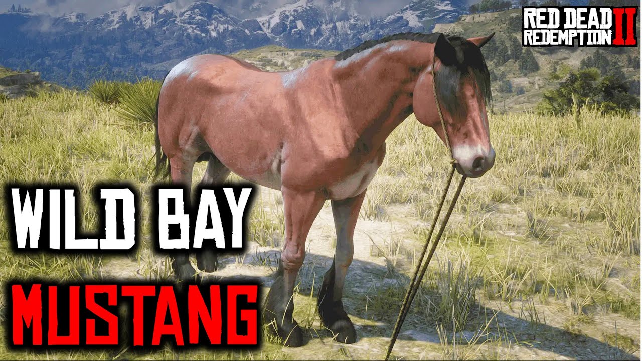 Wild Bay Mustang Overview | Red Dead Redemption 2 Wild Horses - YouTube
