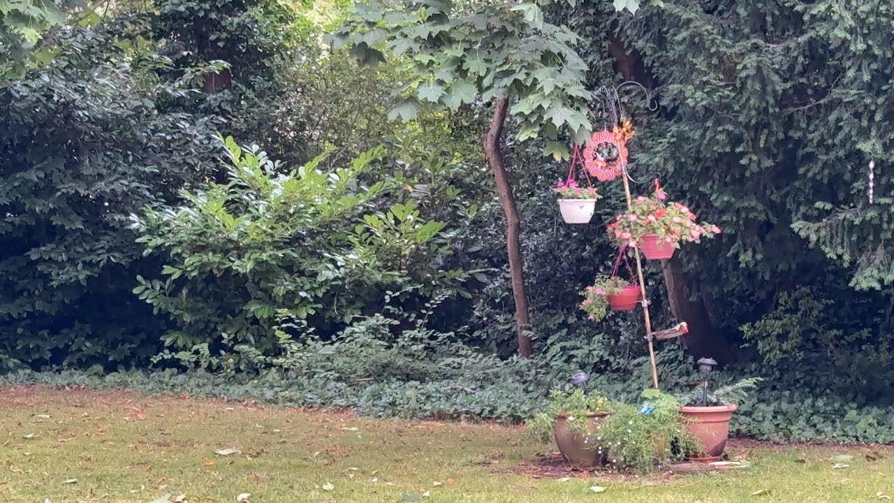 iPhone 16 Pro video test ~ 4K@120 fps (High Efficiency) - YouTube