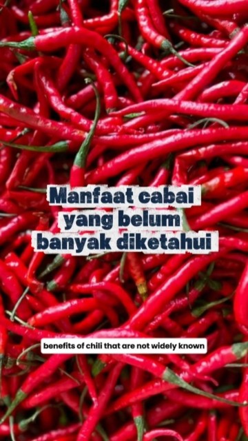 MANFAAT CABAI YANG BELUM BANYAK DIKETAHUI #shorts #manfaattumbuhan # ...