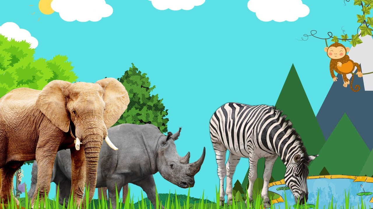 Study the roars and cries of wild animals around the world | Elephants ...