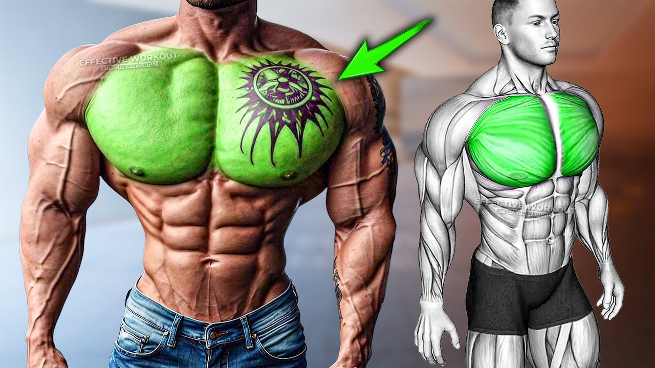 Build a Powerful Chest (5 Best Chest Exercise) - YouTube