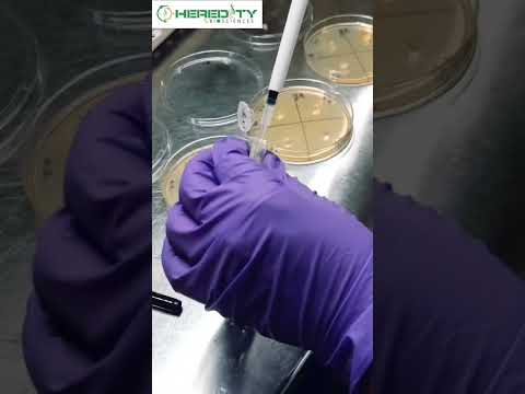 Agar well diffusion method #microbiology  #hereditybioacademy