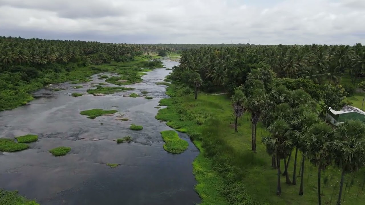 Drone View of Ambrra River Pollachi - YouTube