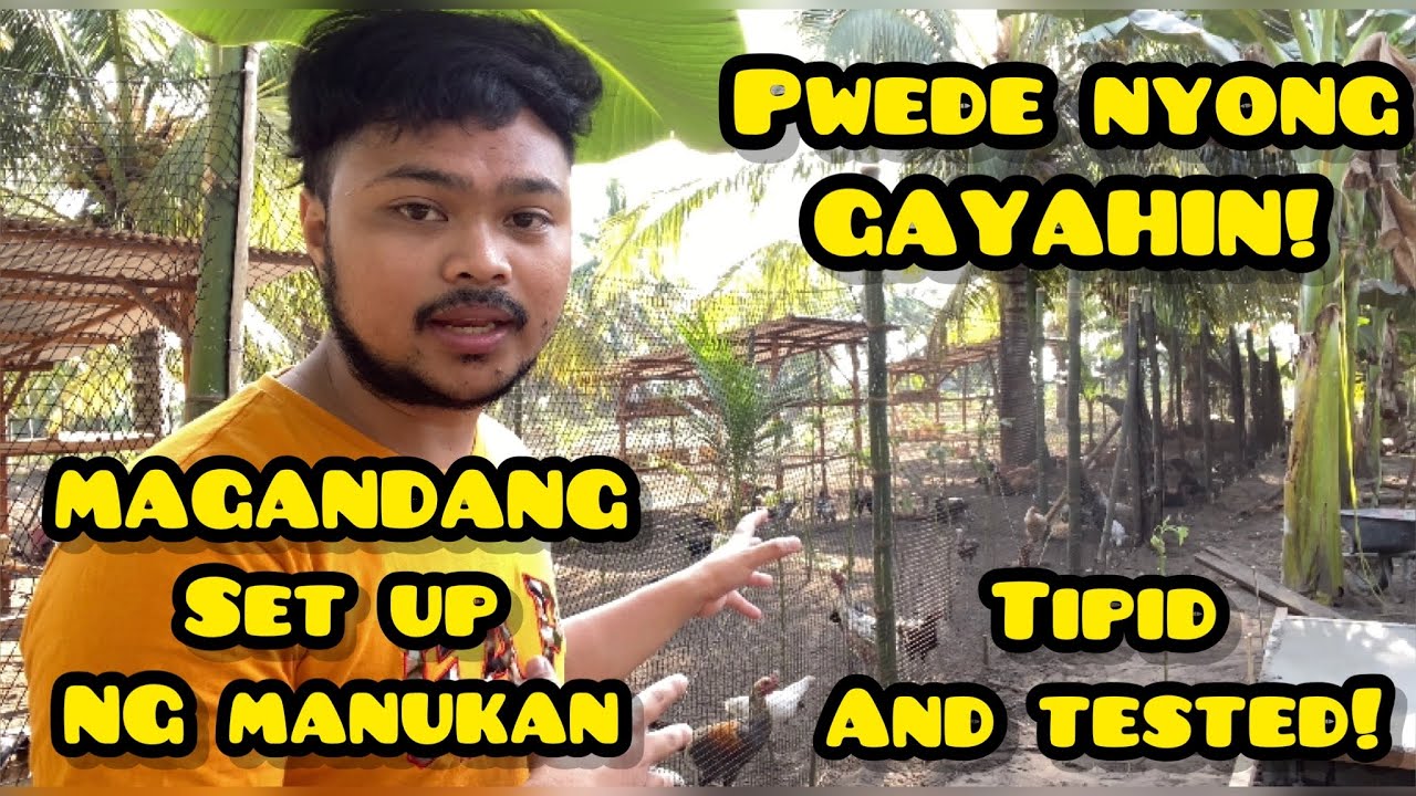 MAGANDANG SET UP NG MANUKAN NA PWEDE GAYAHIN?! - YouTube