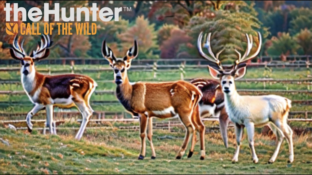 COTW S1 EP5 BEST HUNT (3 rare) - YouTube