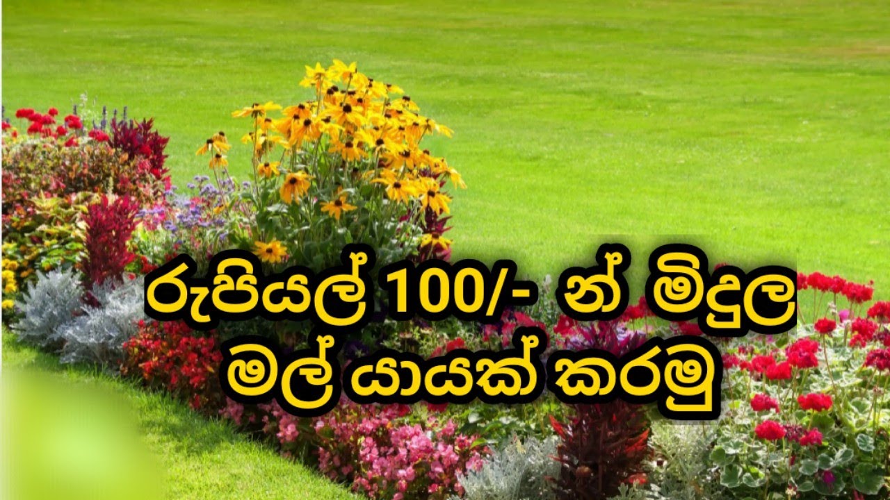 ක්ෂණිකව ගෙවත්ත මල් වත්තක් කරමු | Mal wagawa - YouTube