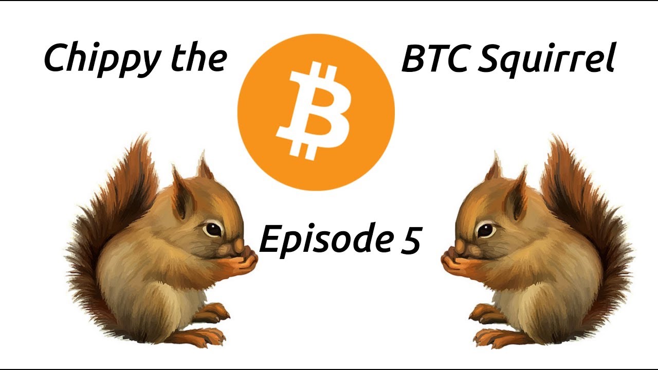 Chippy The BTC Squirrel Episode 5: Why SegWit Adoption Is Important - YouTube