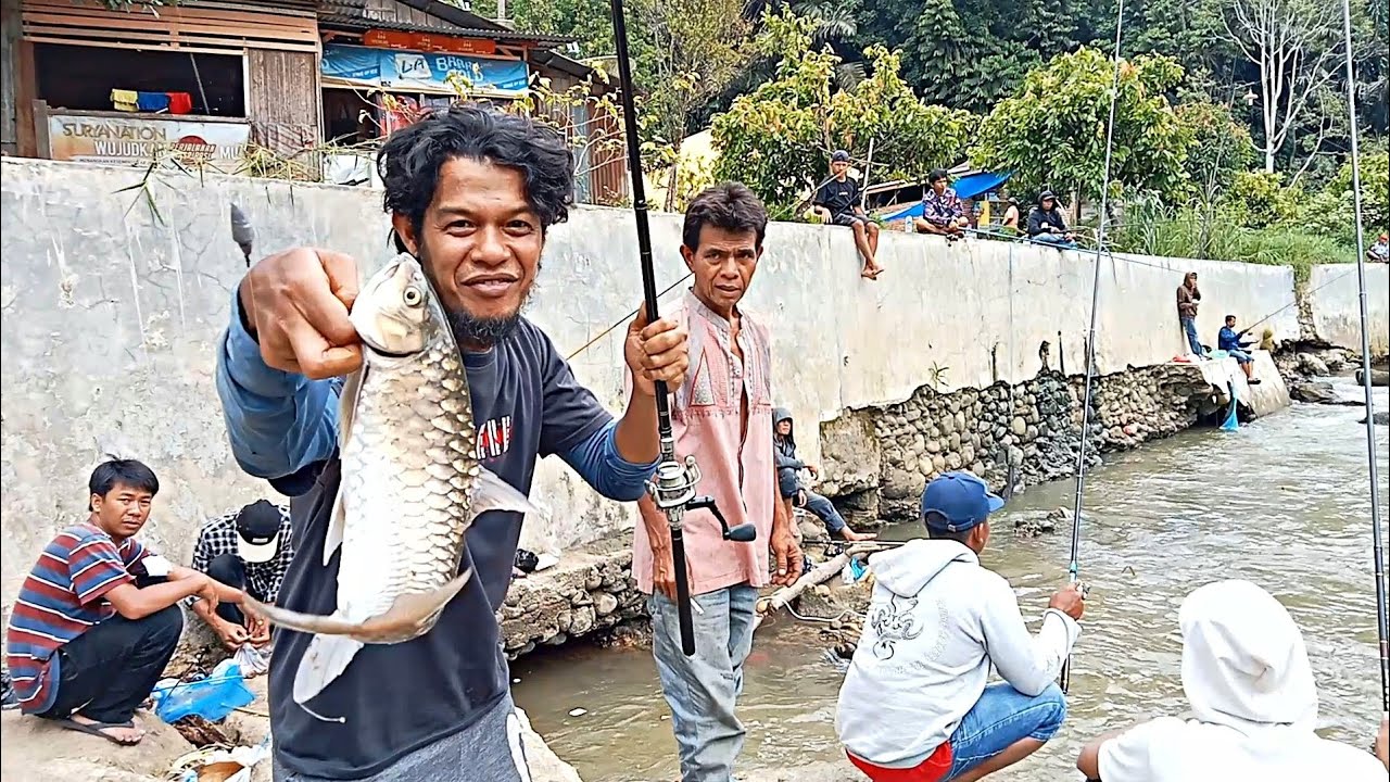 Surganya Pemancing Ikan Mahseer/Jurung - YouTube