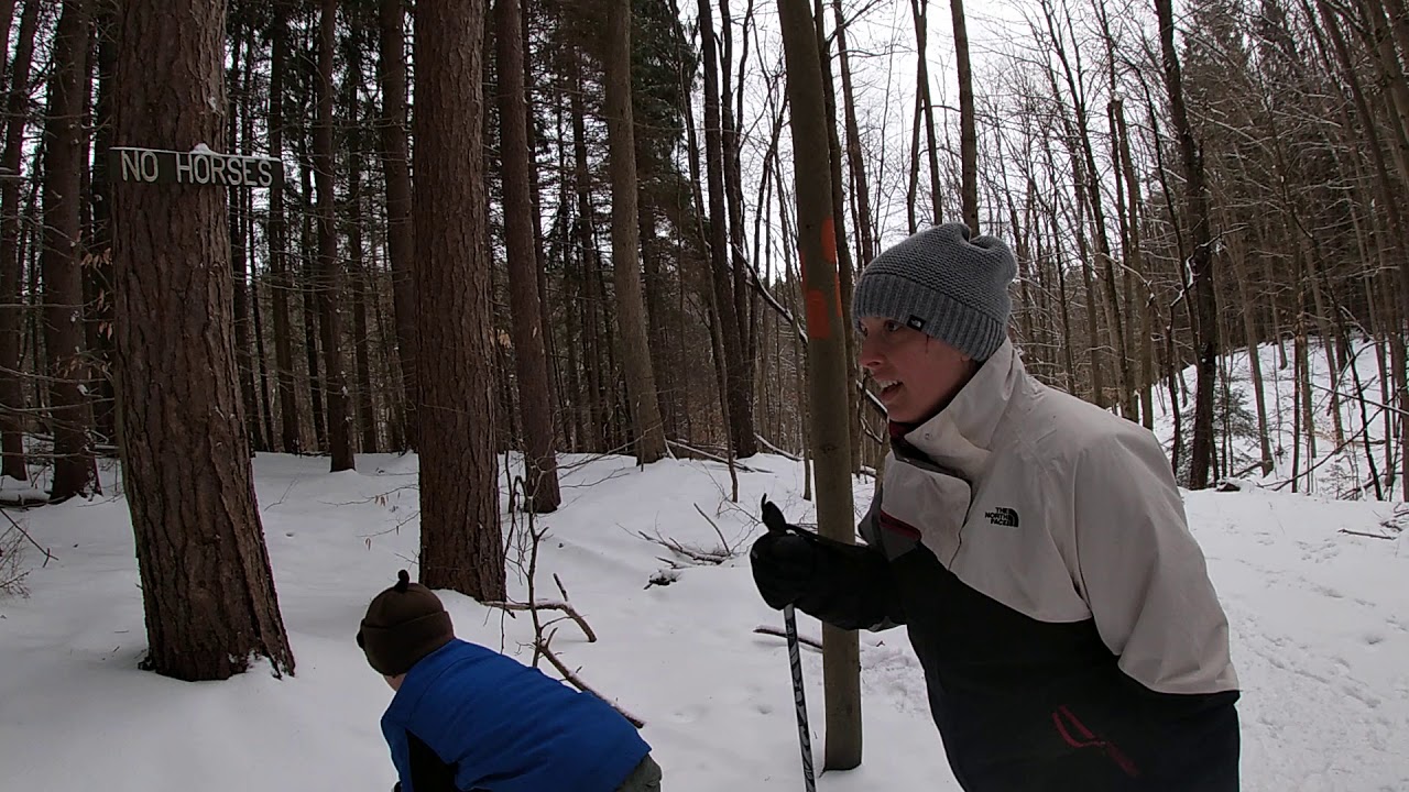 Erie County Forest 2 - YouTube
