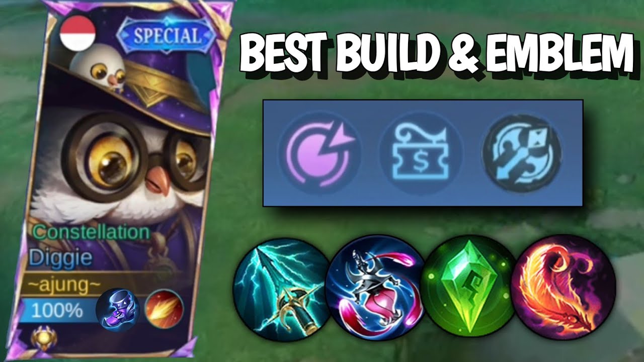 DIGGIE BEST BUILD AND EMBLEM 2024‼️DIGGIE 1 HIT ONLY‼️BUILD DIGGIE ...
