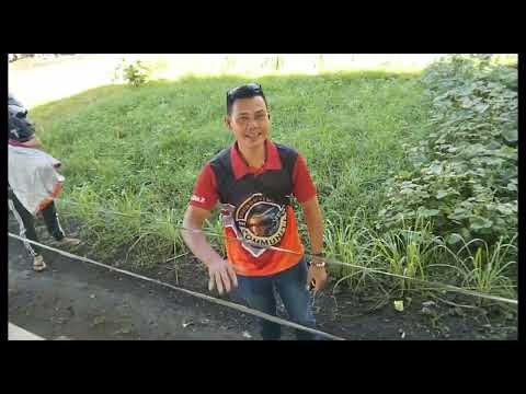 BVC Buhi vlogger community inc with kapnot vlog tv Leonardo azur Baso Jr - YouTube