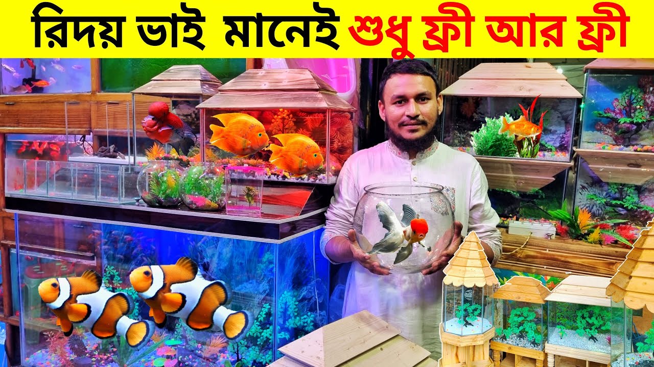 Aquarium Price In Bangladesh। Aquarium Fish Price In katabon। Aquarium ...
