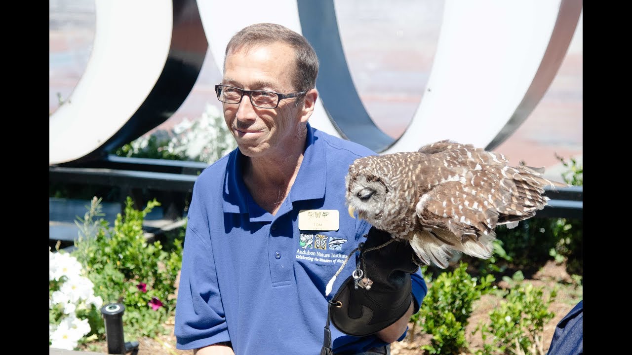 Audubon Nature Institute is Hiring! - YouTube