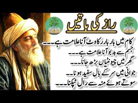 Raaz Ki Baatein | Motivational Quotes| Aqwal e zareen | Words of Wisdom | Hazrat Ali Quotes