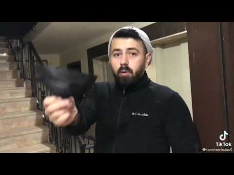Taner Tanrıkulu EN YENİ VİDEOLARI 3