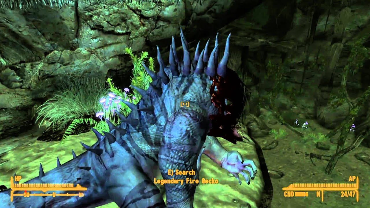 Legendary Fire Gecko - YouTube