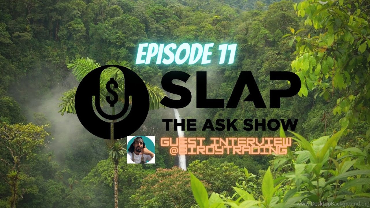 Slap The Ask Show Episode 11: Interview with @BirdyTrading - YouTube