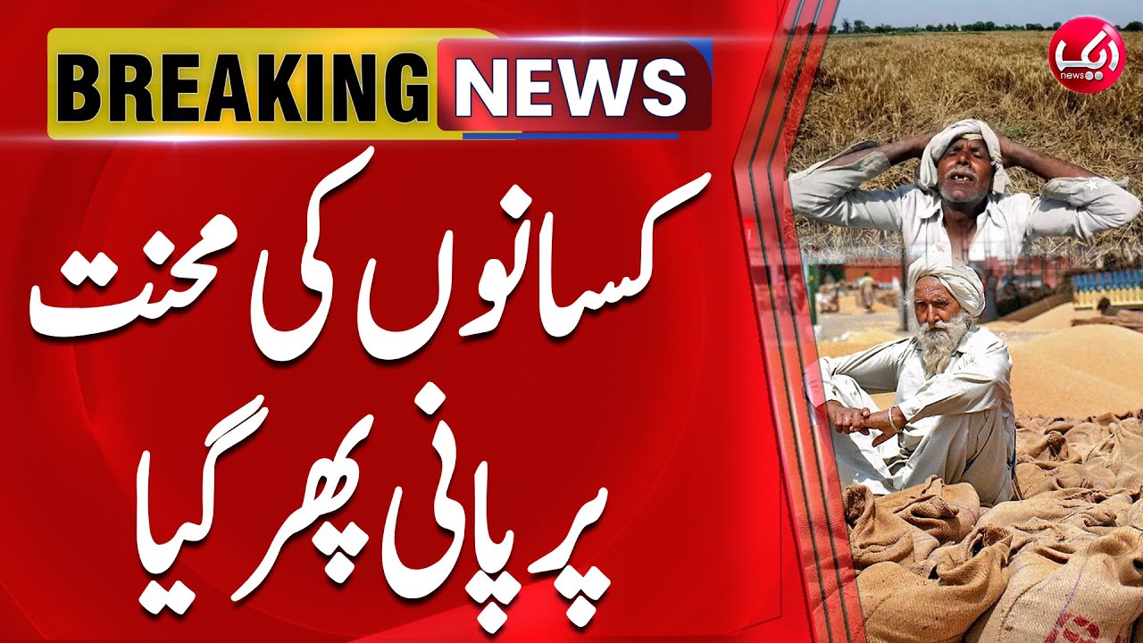 Wheat Scandal | Gov Failed To Handle Wheat Crisis | Farmers are Hopeless | Aik News - YouTube