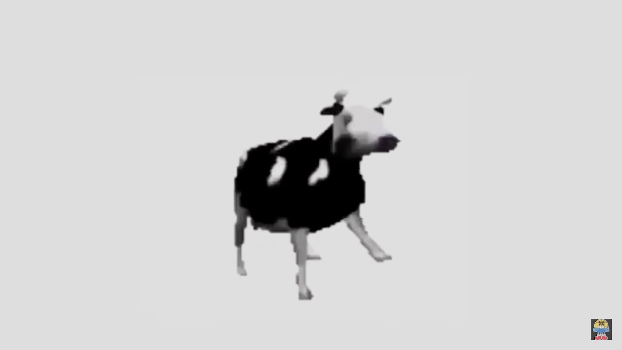 Polich cow meme - YouTube
