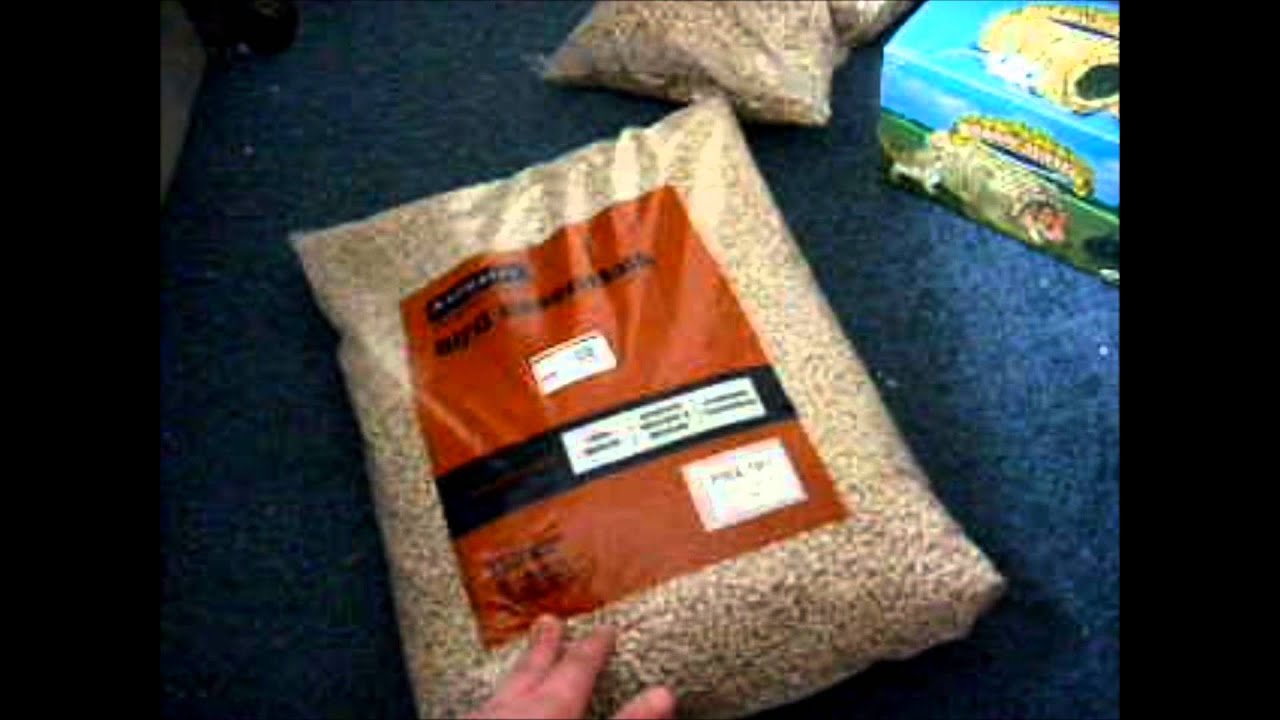 Trip to animates (nz pet store) & Small Haul - YouTube