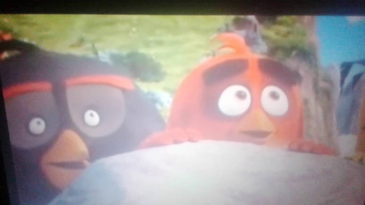 trailer angry birds la pelicula el lago de la sabiduria - YouTube