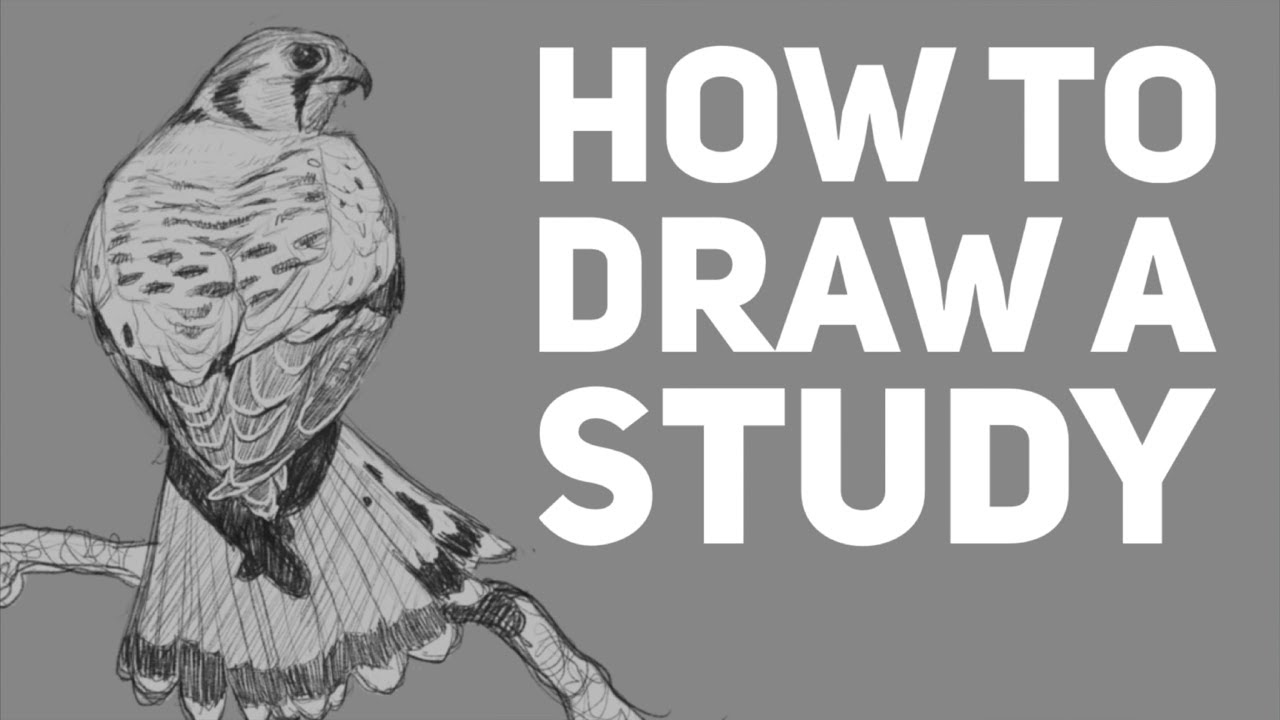 How To Do A Sketch Study - YouTube