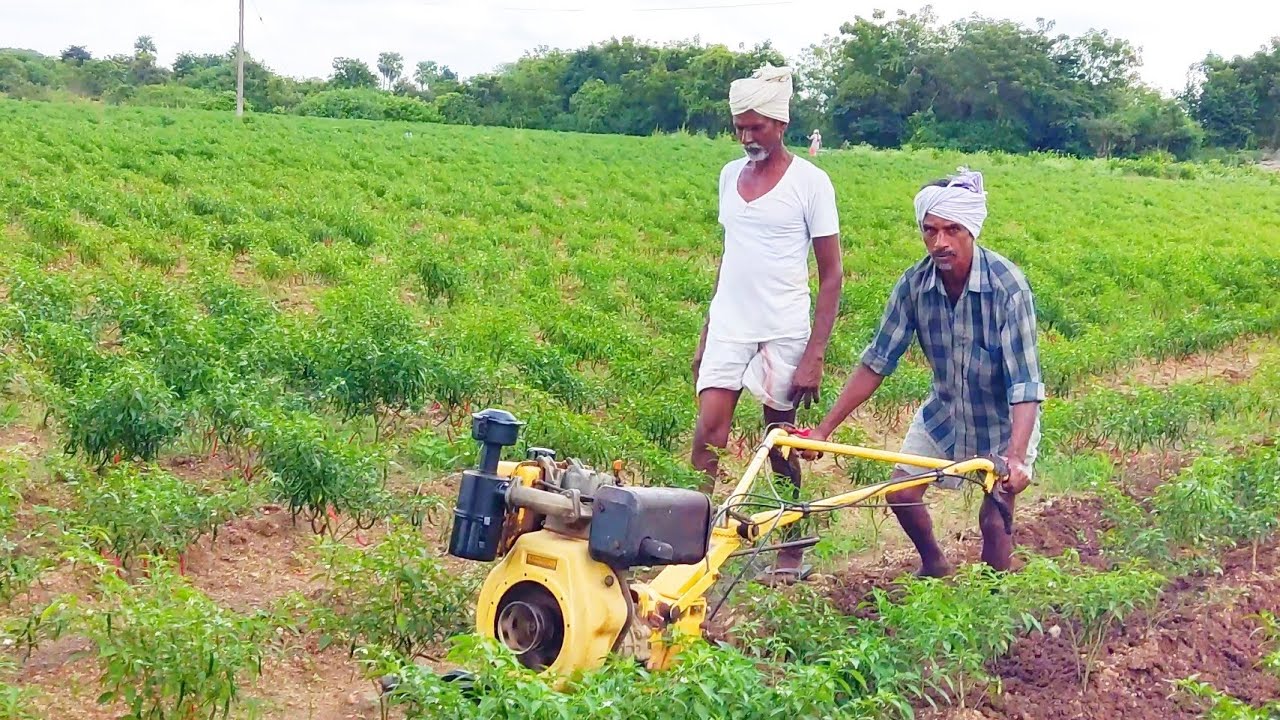 kisan kraft power weeder for agriculture inter cultivation ...