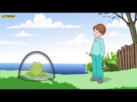 SES VE ORTAM (Fen Bilimleri 6)