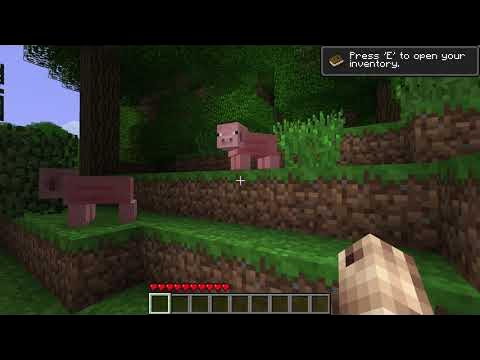 MultiMC - Play Minecraft Alpha & Beta Again! (Easy-to-understand ...