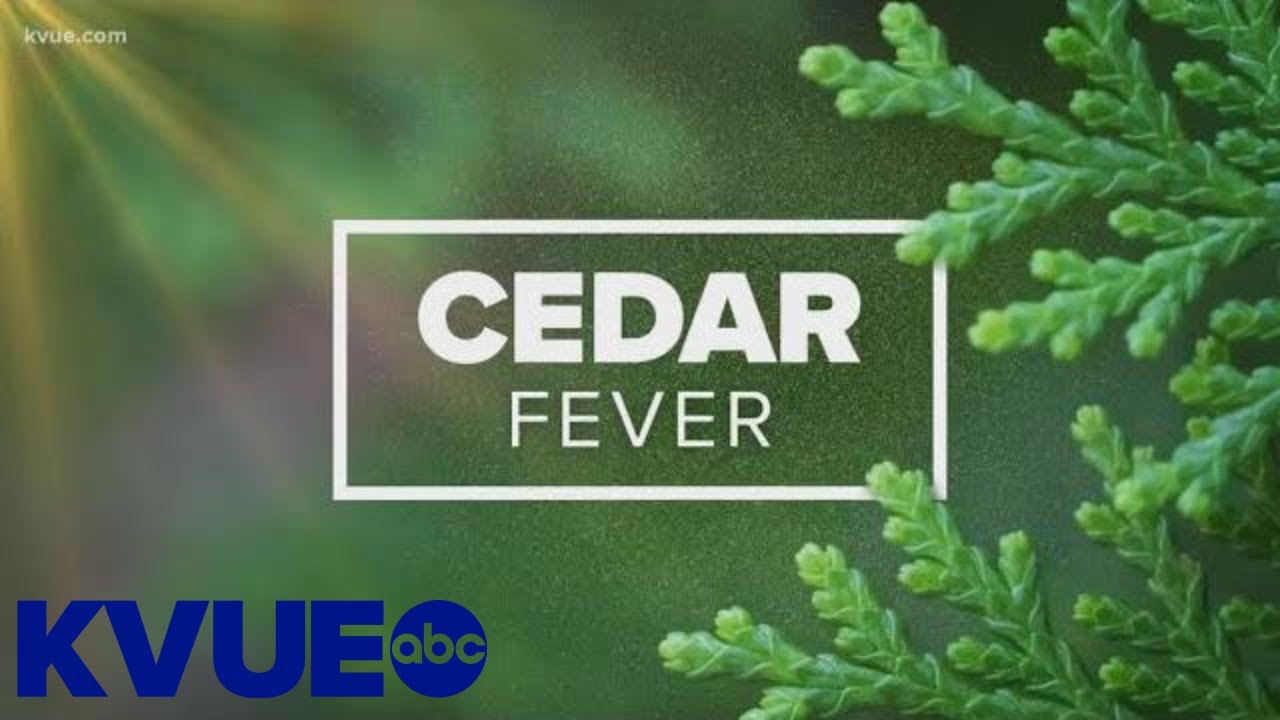 Cedar fever, the flu or COVID-19? Explaining the differences in ...