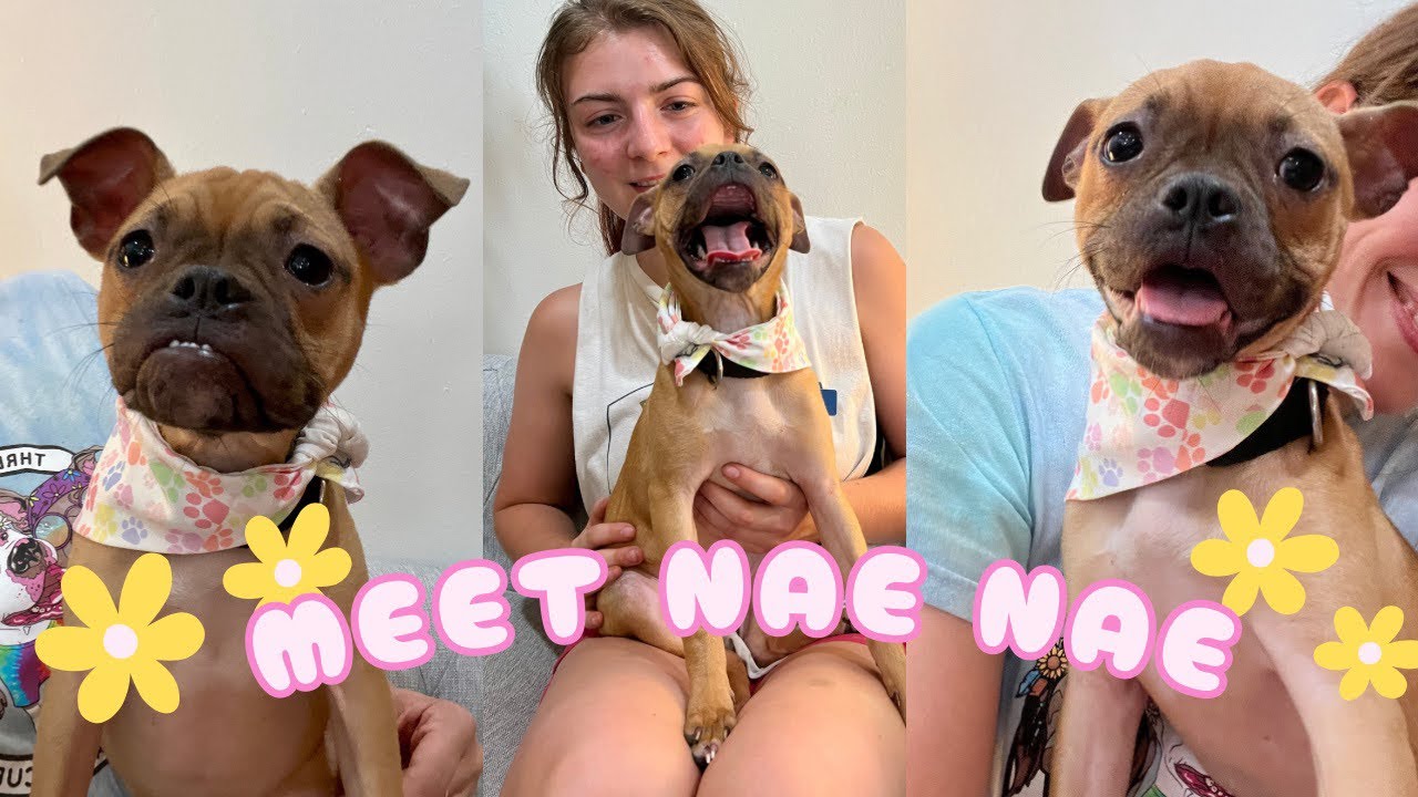 The tiniest squishy face you’ve ever seen, meet Nae Nae - YouTube
