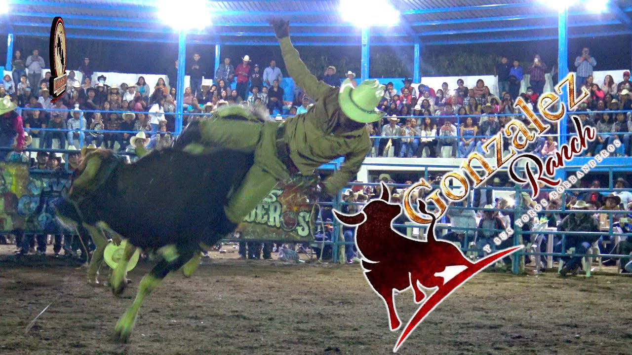 QUE PODERIO DE GABADERIA!! Gonzalez Ranch En Atenango Del Rio Guerrero ...