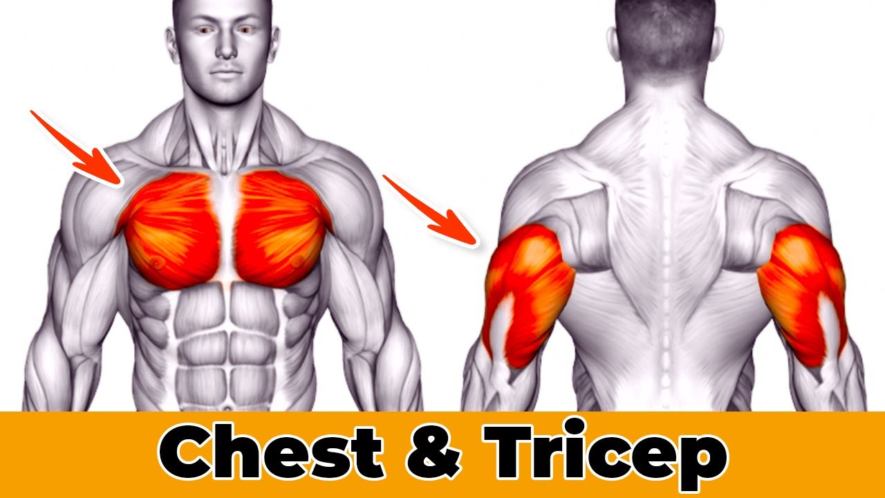 Add These 6 Exercises on Your CHEST & TRICEP WORKOUT - YouTube