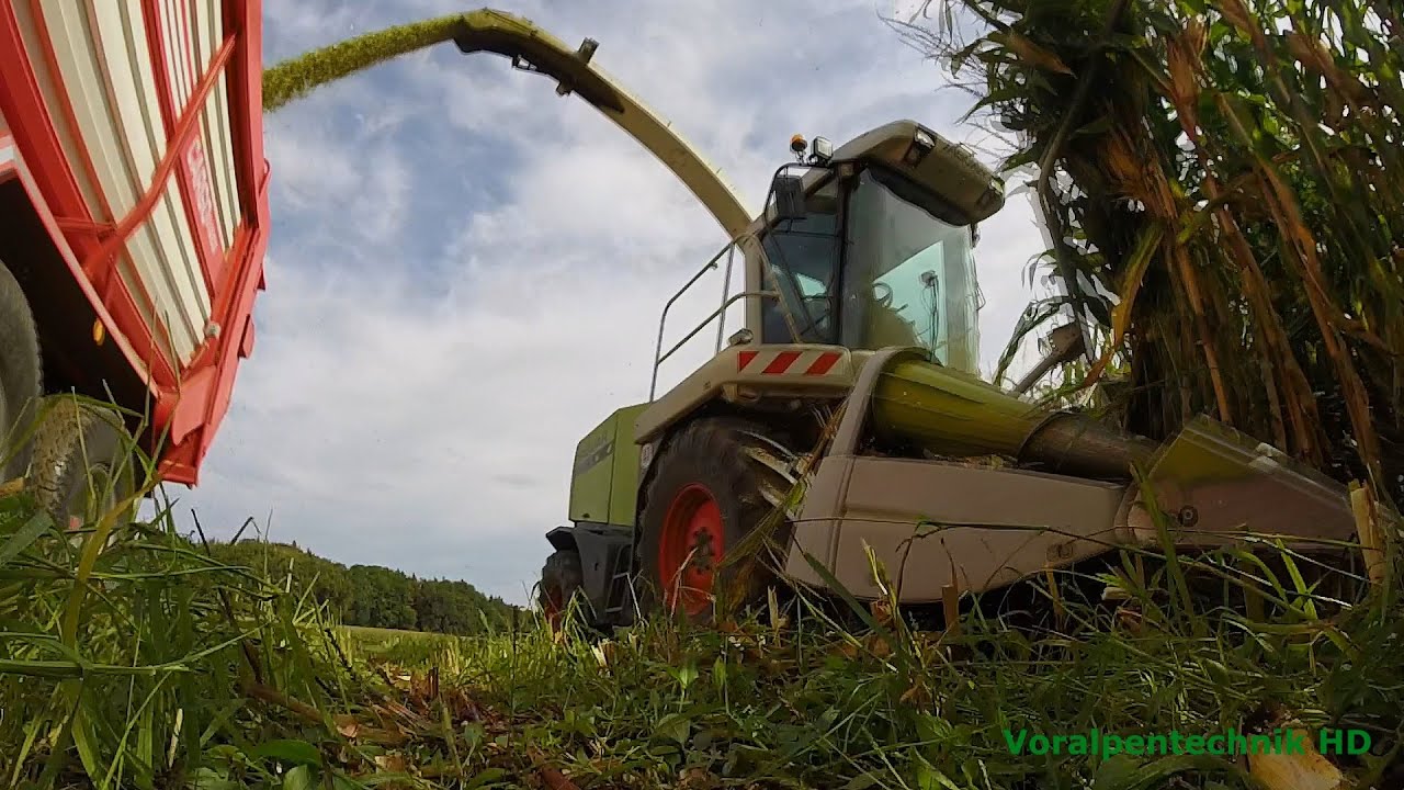 Claas Jaguar 850 Speedstar// Maishäckseln 2015 - YouTube