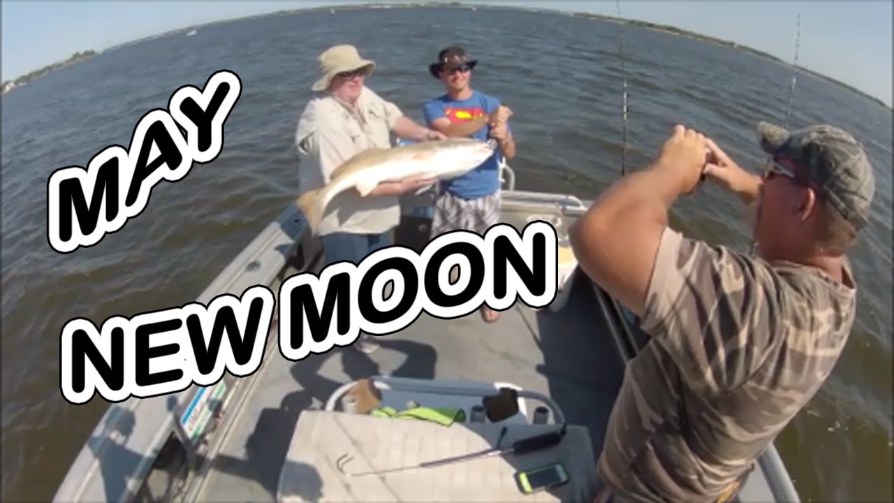 Shark Infested waters, St. Johns River, Mayport Florida - YouTube