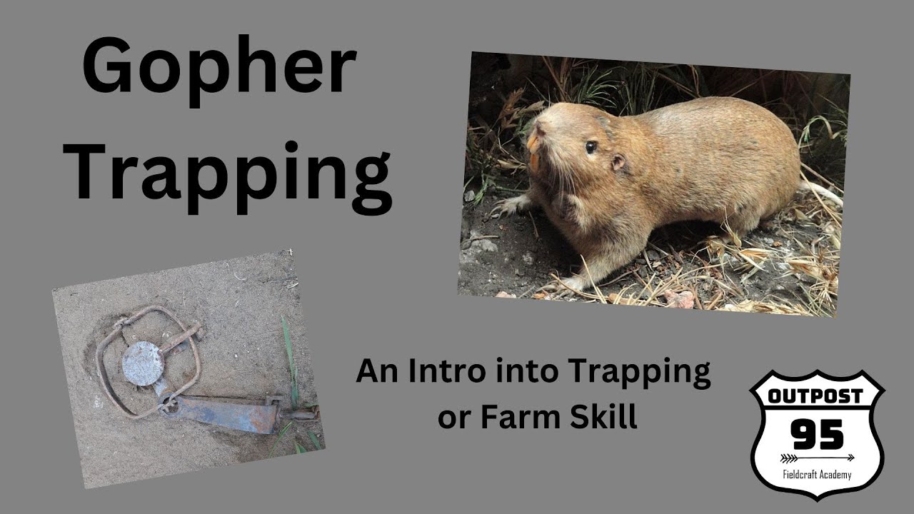 Gopher Trapping - YouTube