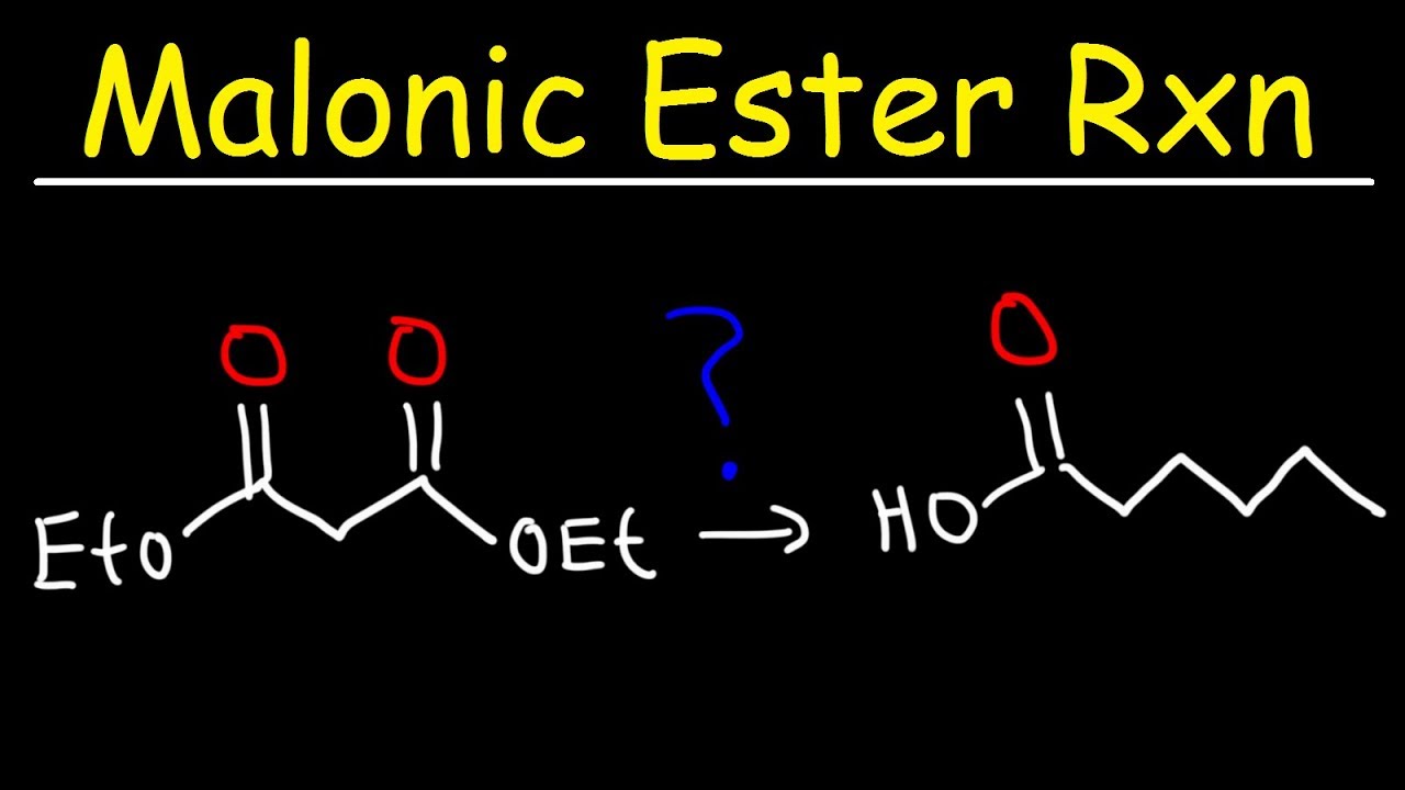 Malonic Ester Synthesis