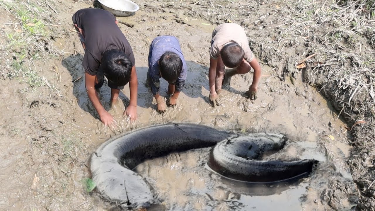 Asian Village Kids Hand Fishing Video | Unique Kids Hand Fishing Video ...