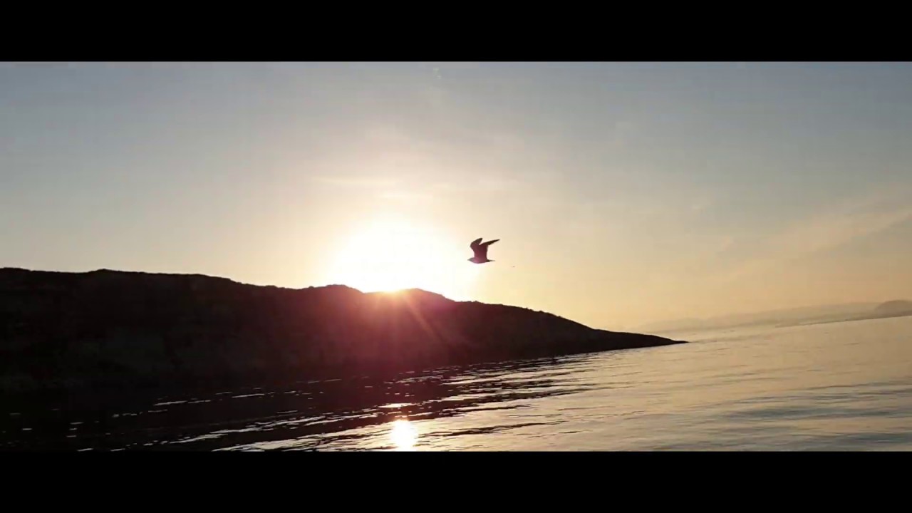 Norway Ninjas 2019 - Angeln in Hellesøy Norwegen - YouTube